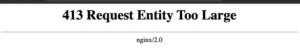 Nginx 파일 업로드 오류, 413 Request Entity Too Large 해결 방법 - 호랑이센세